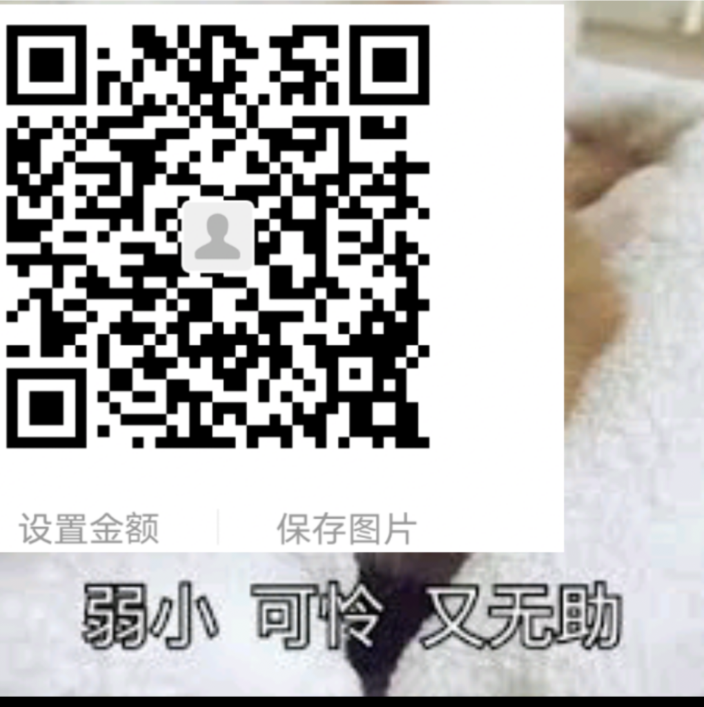 【pc krkr ty】海与雪的青蓝色 - 三只柠檬的gal小屋